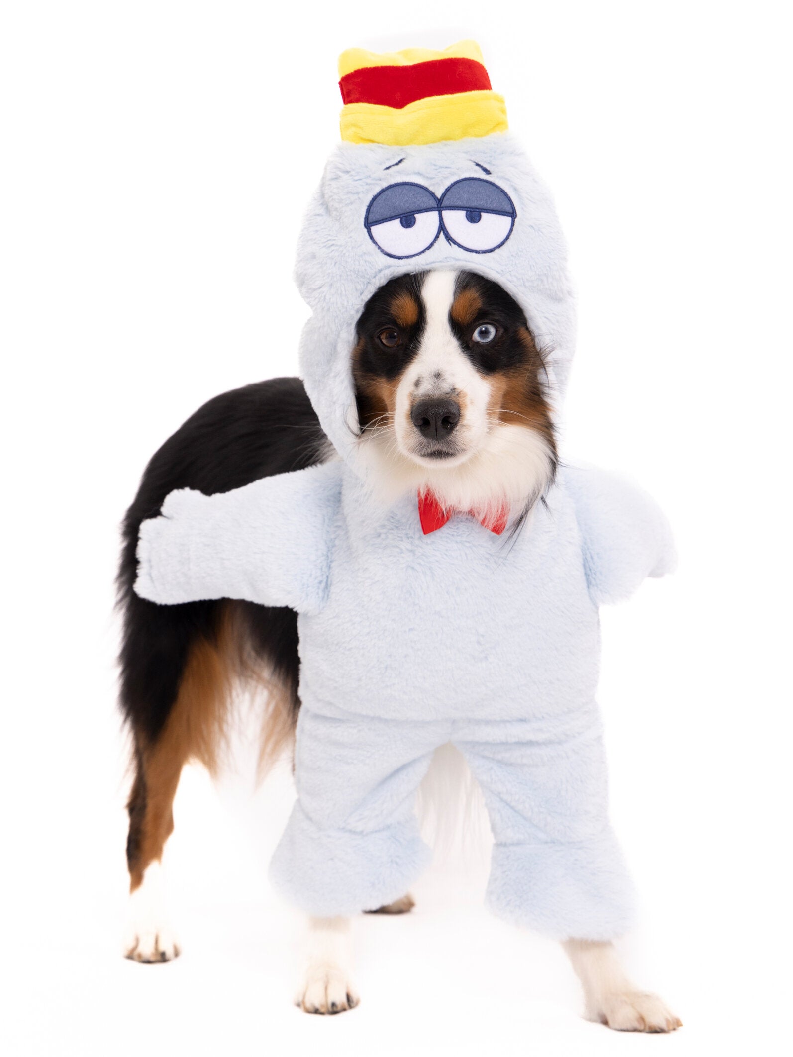General Mills Monster Cereals Boo Berry pet costume | FREE Shipping on ...