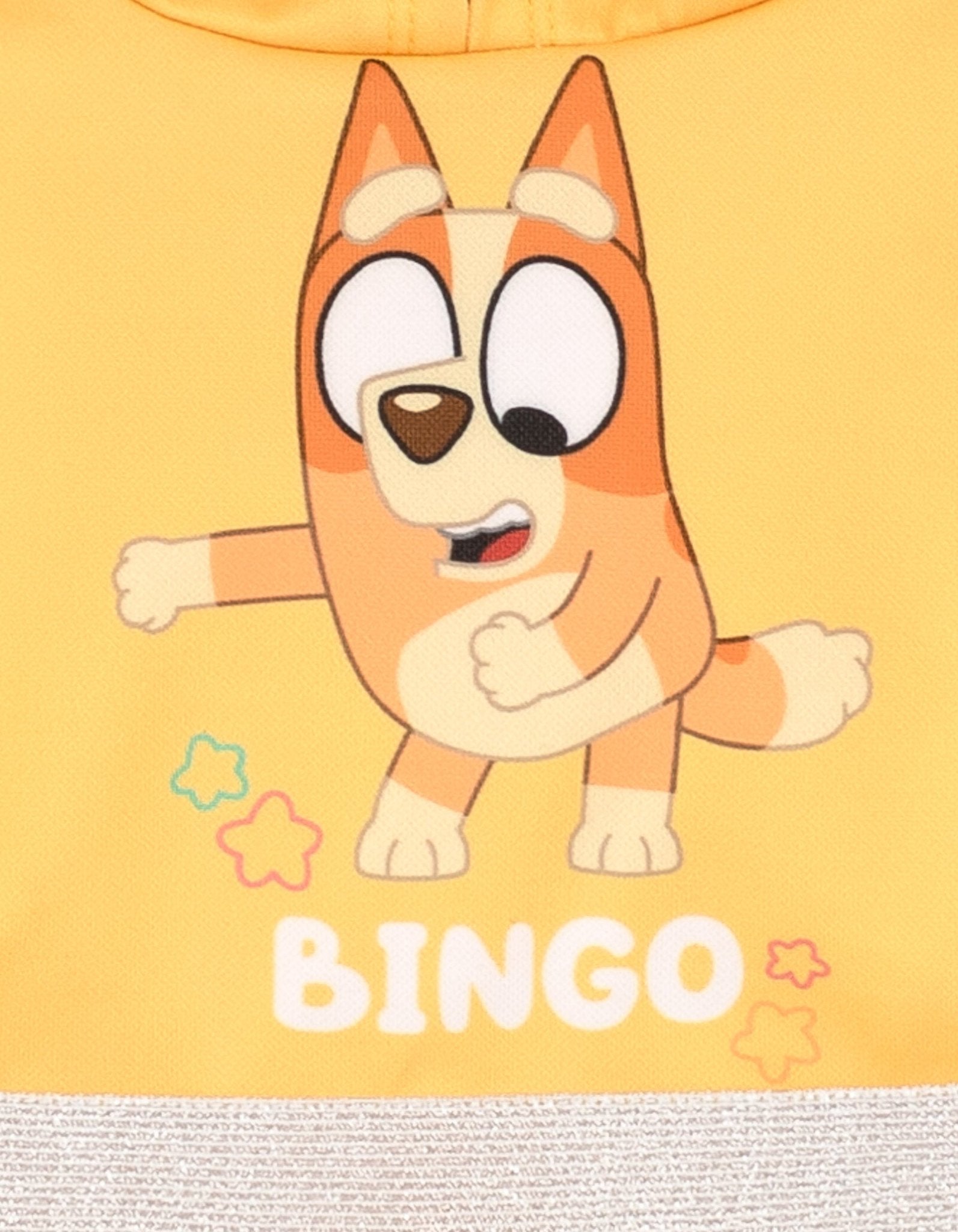 Bluey Bingo (Bluey) Mesh Cosplay Dress – imagikids