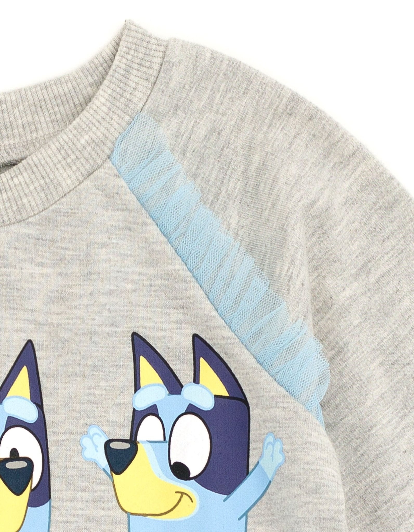 Bluey Girls French Terry Dress | imagikids Baby and Kids Clothing